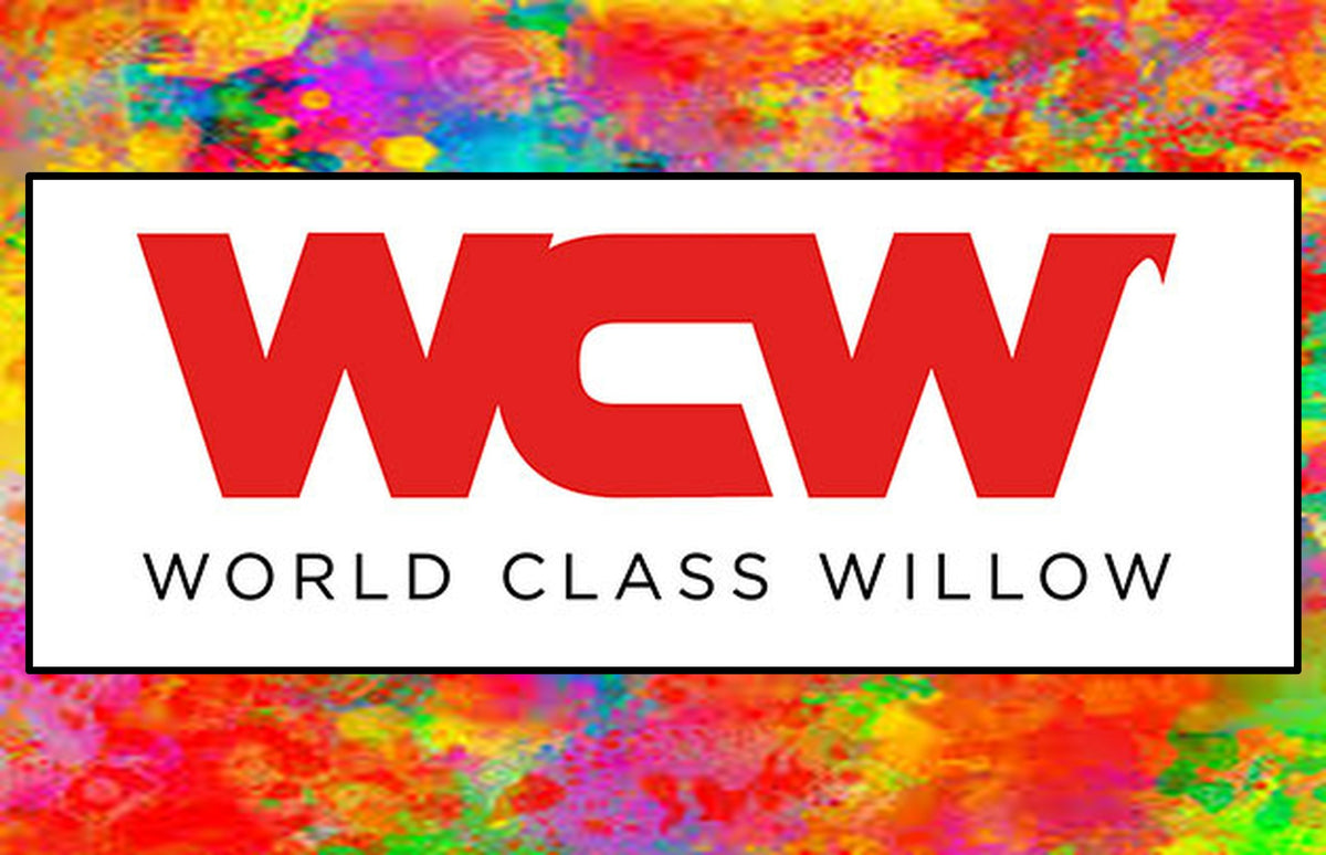 World Class Willow – TotalCricket