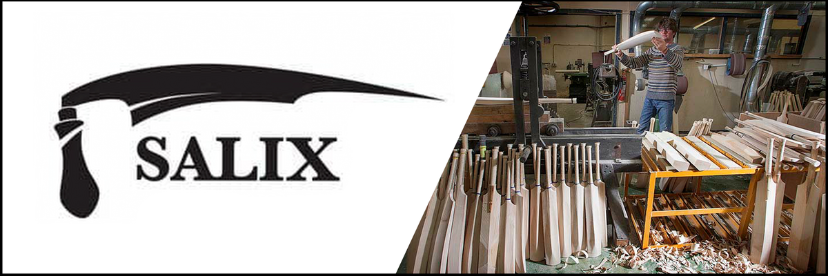 Salix – TotalCricket