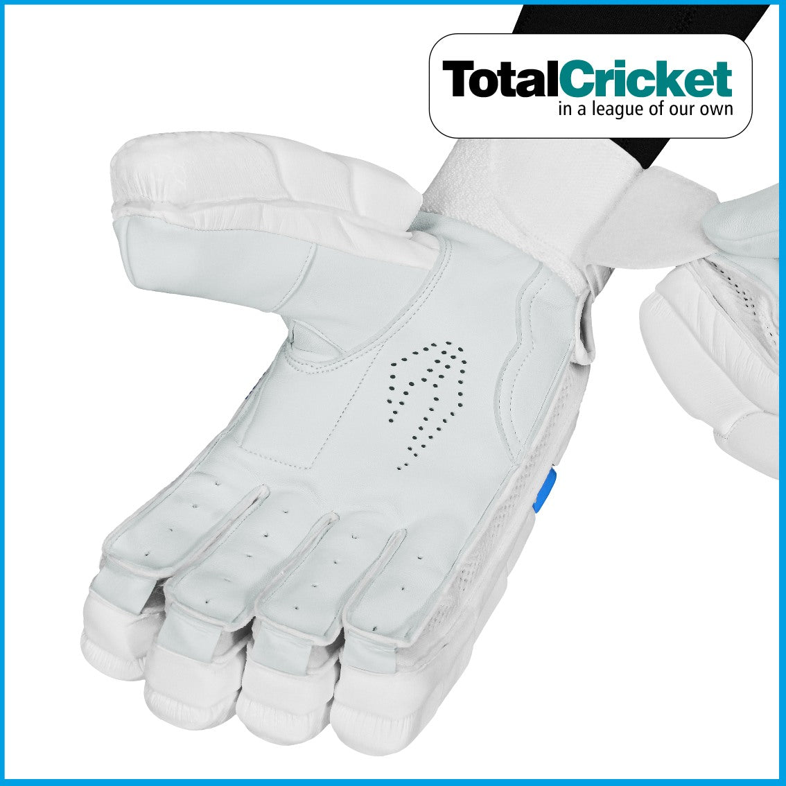 DSC 2026 BLU 1000 BATTING GLOVE – TotalCricket