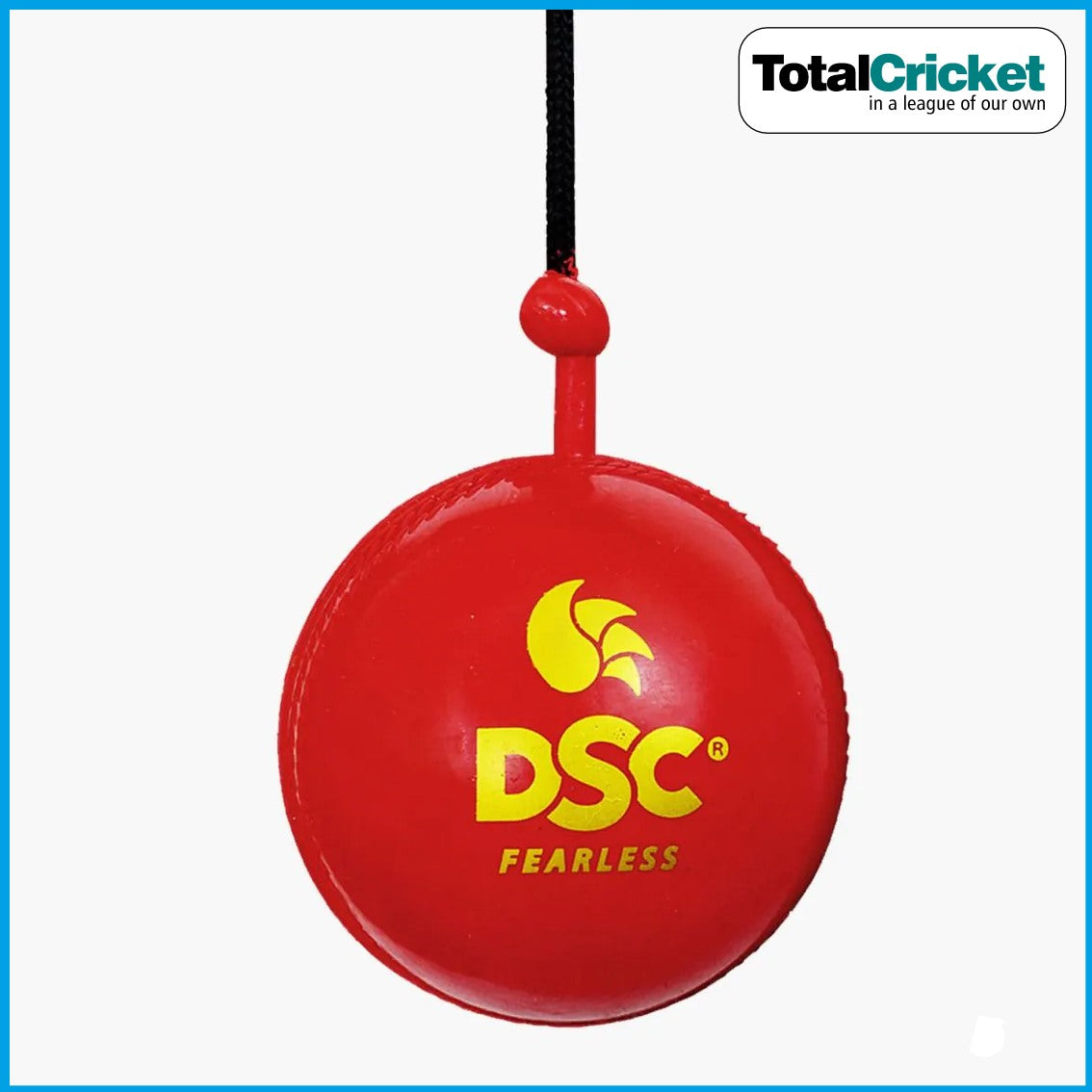 DSC 2026 HANGING SYNTHETIC BATTING TRAINING DRILL BALL – TotalCricket