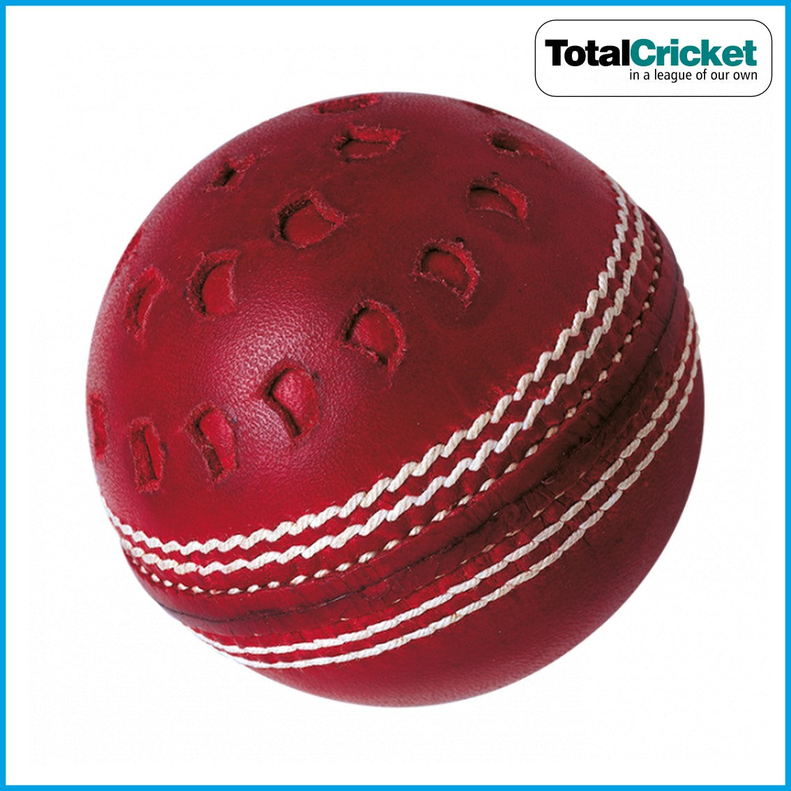 GM CHEVRON SWING BALL – TotalCricket