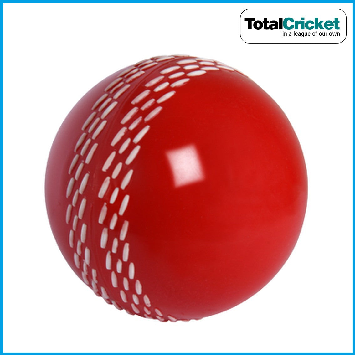 GRAY NICOLLS 2026 VELOCITY BALL – TotalCricket