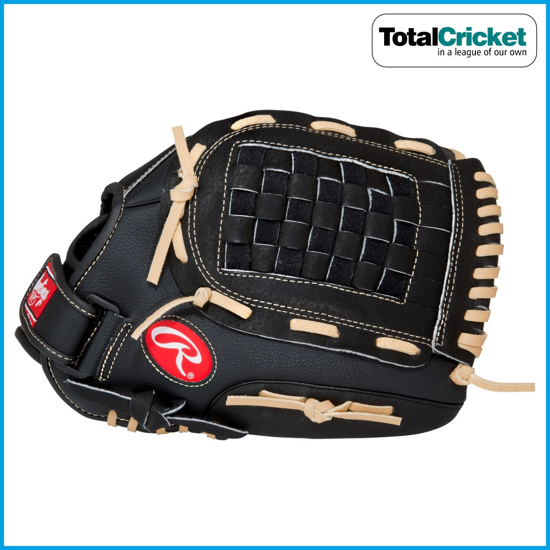 RAWLINGS 2024 RSB SERIES Coaches Catching Mitt – TotalCricket