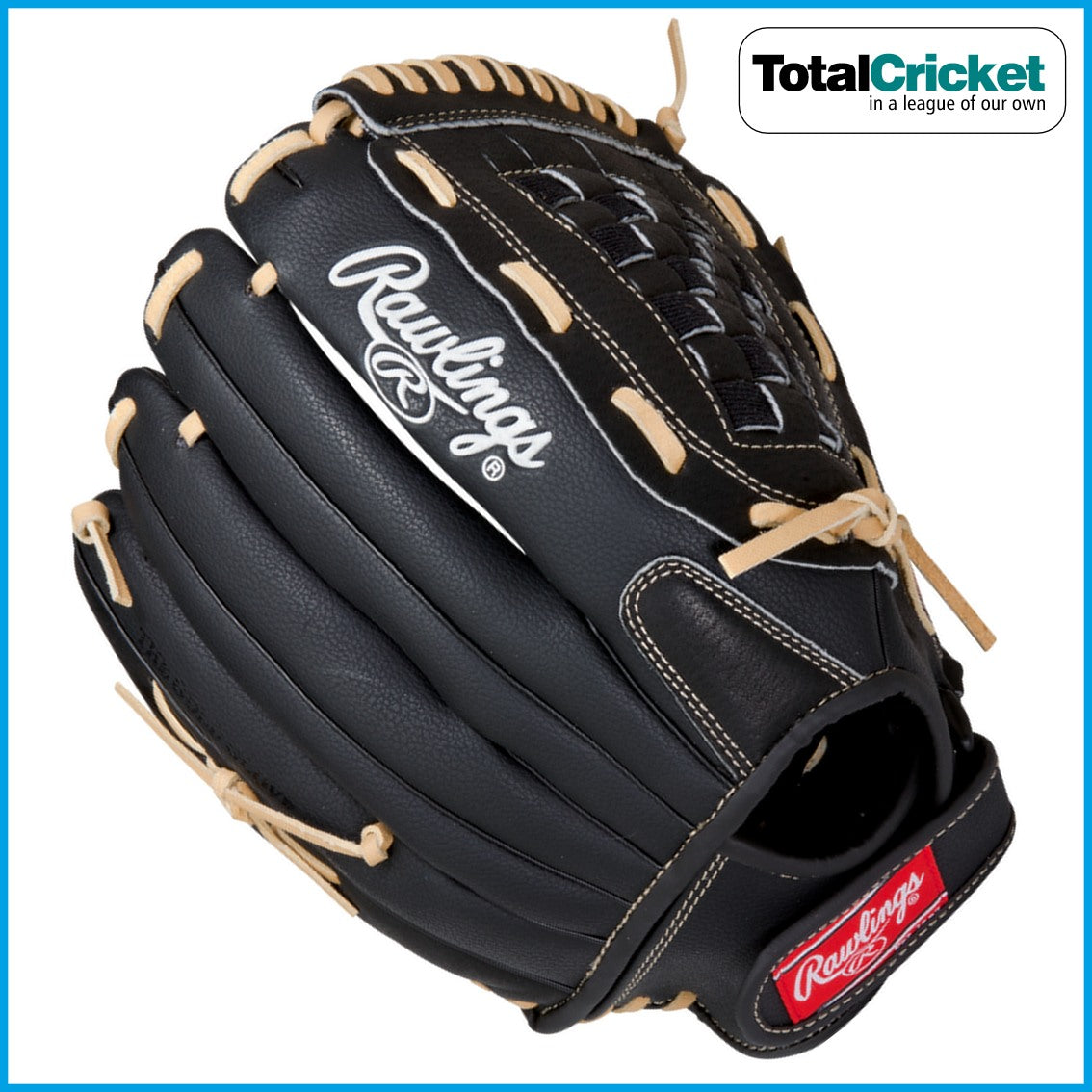 RAWLINGS 2024 RSB SERIES Coaches Catching Mitt – TotalCricket
